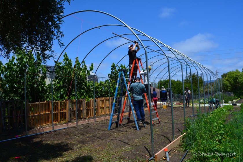 Clif Bar employees enhance Alameda Point farm – Alameda Point ...